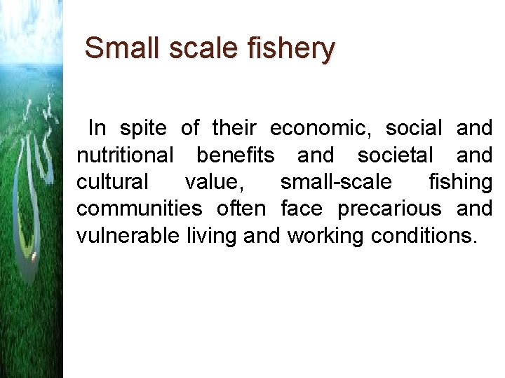 SUSTAINABLE SMALLSCALE FISHERIES experience from Thailand By Ravadee