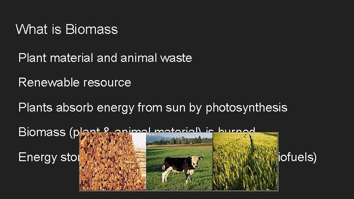 Biomass By Frankie Gabby and Lin What is