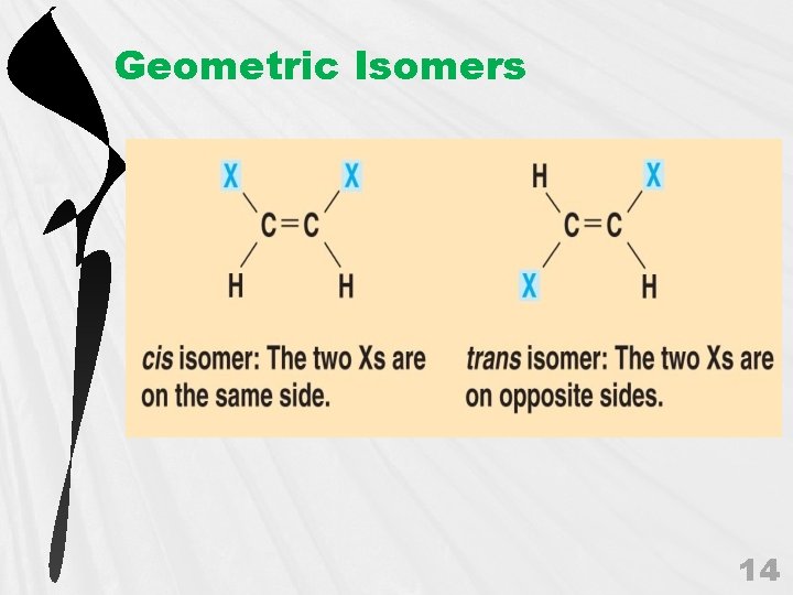 CHAPTER 4 CARBON AND THE MOLECULAR DIVERSITY OF