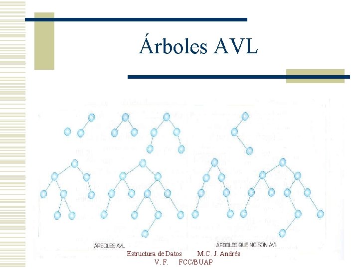 Arboles AVL Objetivos Entender la importancia que tiene