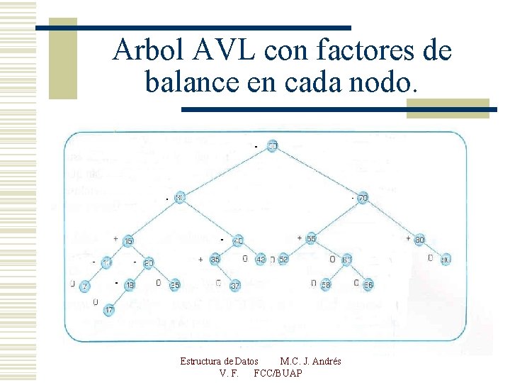 Arboles AVL Objetivos Entender la importancia que tiene