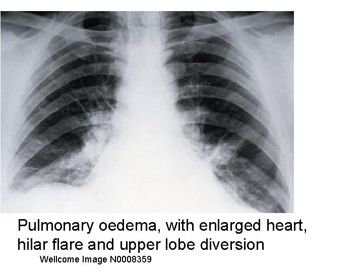 https www google co uksearch ...