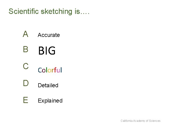 Introduction to Scientific Sketching Inspired by naturalist John