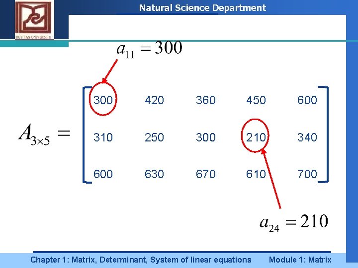 Natural Science Department Company LOGO Example 1 The