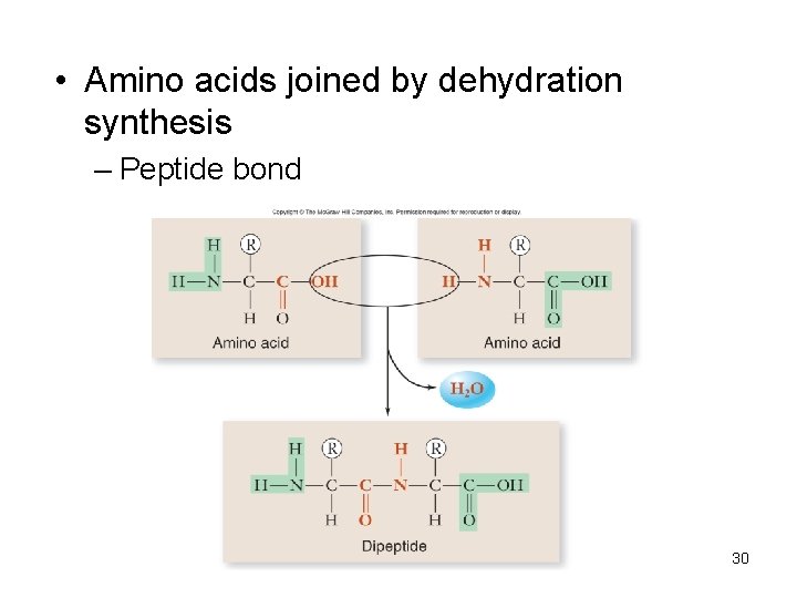 The Chemical Building Blocks of Life Carbon Framework