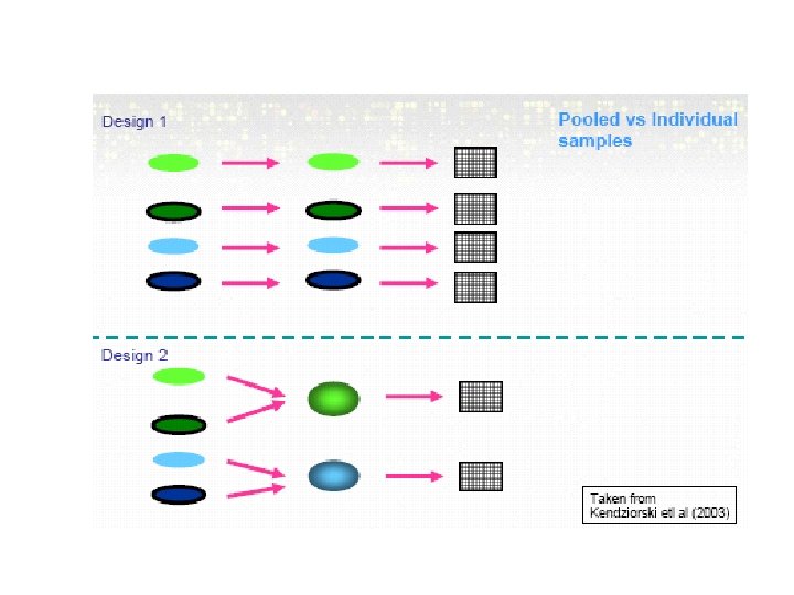 Design Issues Lecture Topic 6 Experimental design Proper