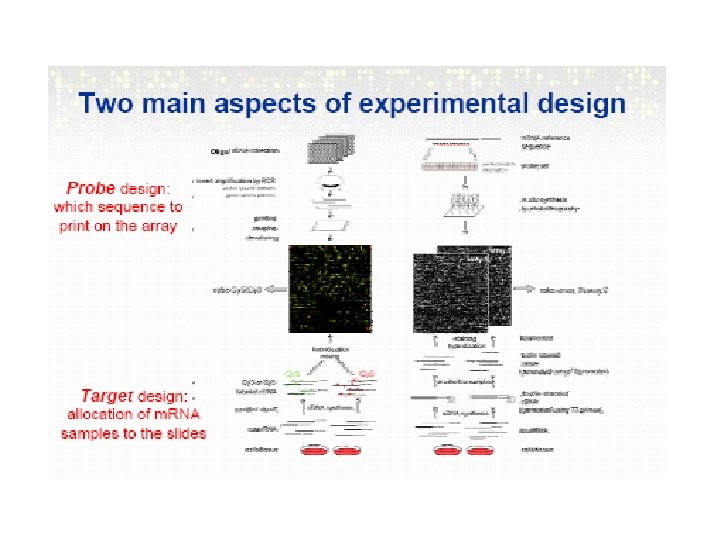 Design Issues Lecture Topic 6 Experimental design Proper