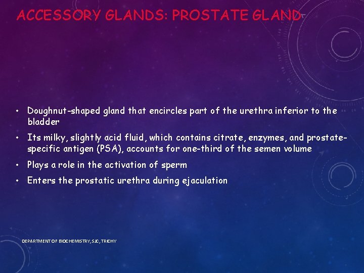 STRUCTURE FUNCTION AND REGULATION OF MALE AND FEMALE