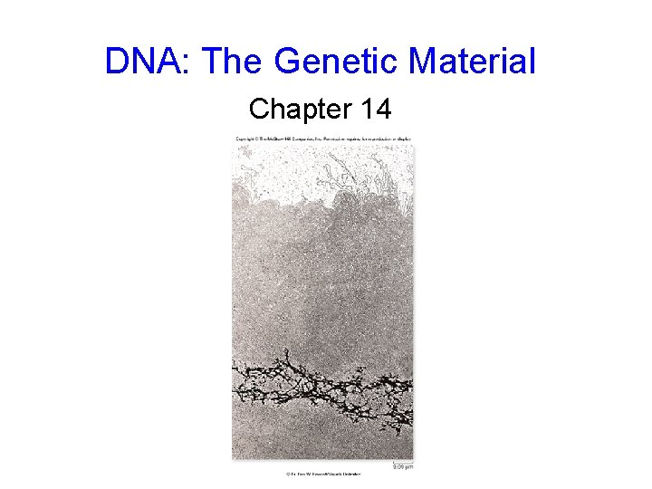 DNA The Genetic Material Chapter 14 2 3