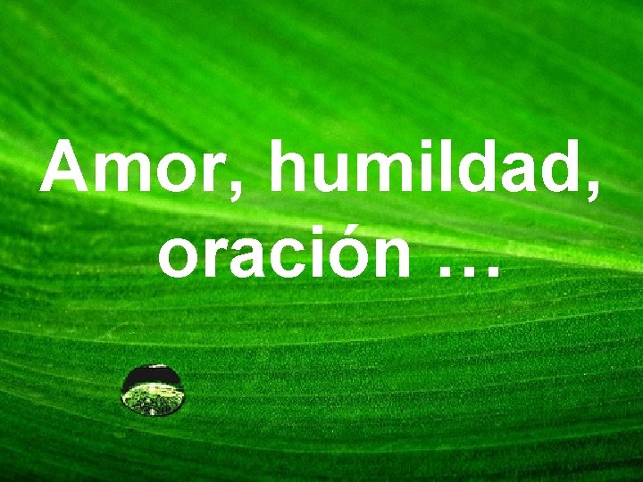 Amor humildad oracin Pensamientos del Santo Hermano Miguel