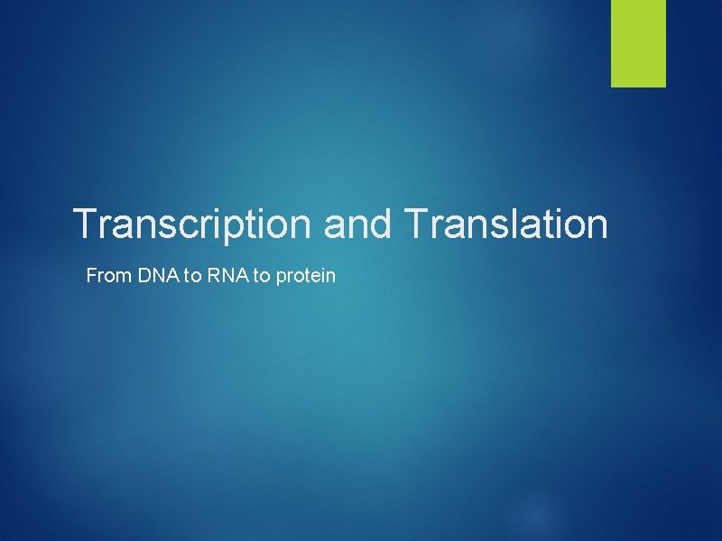 Transcription and Translation From DNA to RNA to
