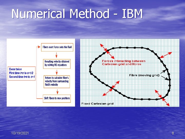Patientspecific Cardiovascular Modeling System using Immersed Boundary ...