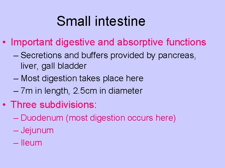 Digestion Absorption To the small intestines and beyond