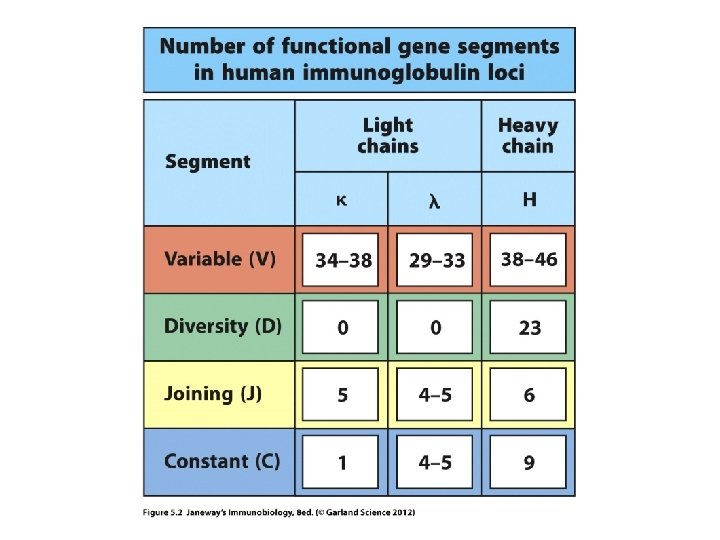 Immunology Biol 465 Minot State University Spring 2020