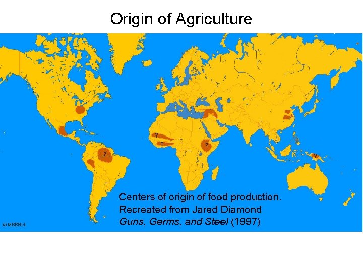 Stem Cells and the Global Revolution in Science