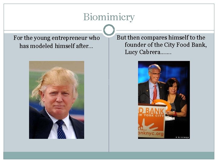 Biomimicry emulating natures genius Biomimicry Social Reference Theory