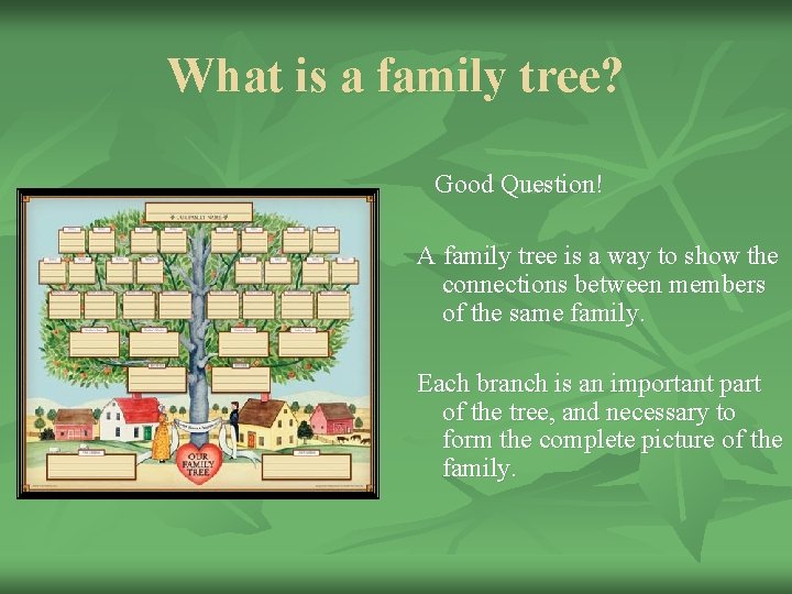 Lets climb your family tree Mrs Mc Farlanes
