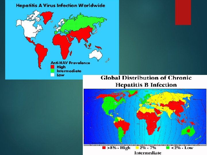 Hepatitis LEVERONTSTEKING oorzaken Virussen hepatitis A B C