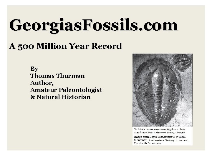 Georgias Fossils com A 500 Million Year Record