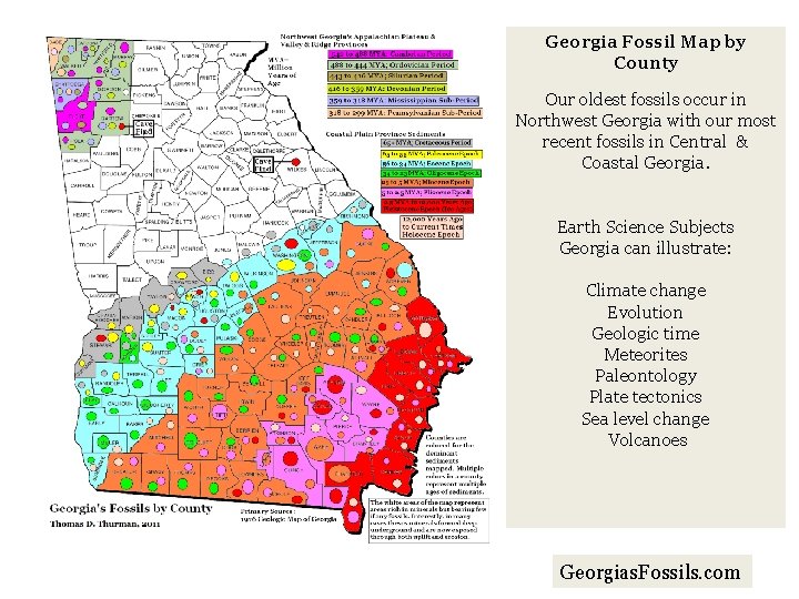 Georgias Fossils com A 500 Million Year Record