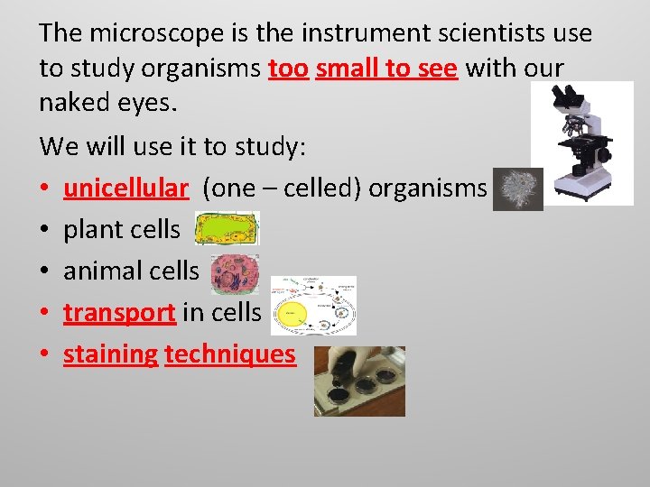 Unit 2 The Microscope Cells The microscope is