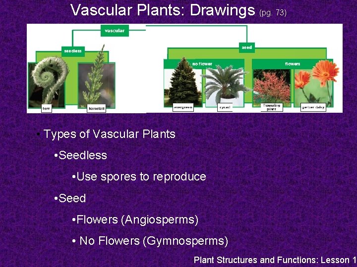 Life Science Unit Overview Chapter 1 Structure of