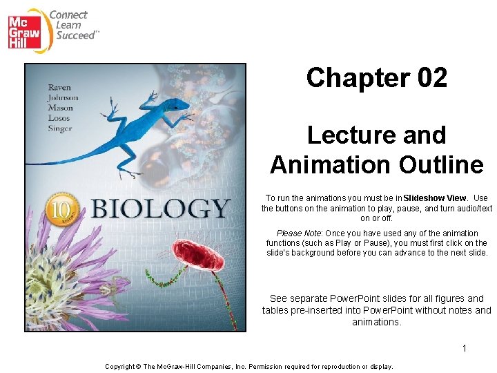 Chapter 02 Lecture and Animation Outline To run