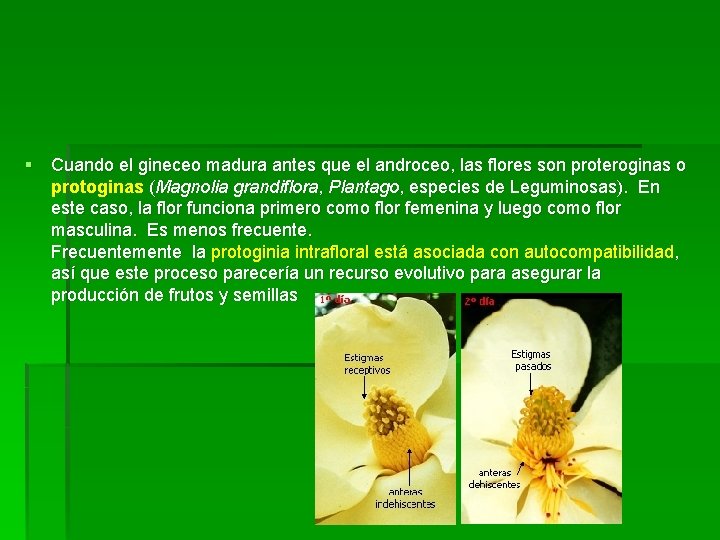 GENETICA Y MEJORA VEGETAL BIOLOGIA REPRODUCTIVA Y FLORAL