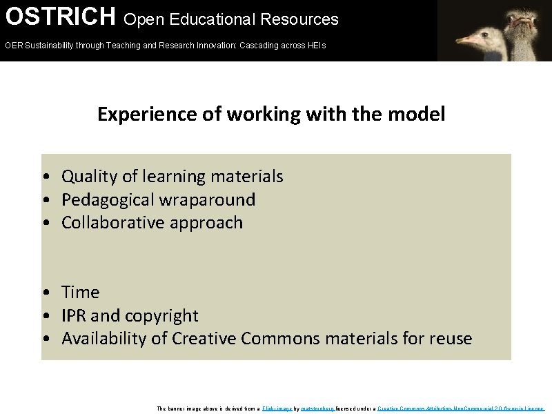 OSTRICH Open Educational Resources OER Sustainability through Teaching