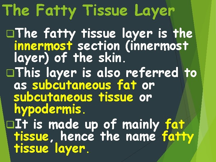 Unit Topic The Human Skin Unit Subtopic Layers