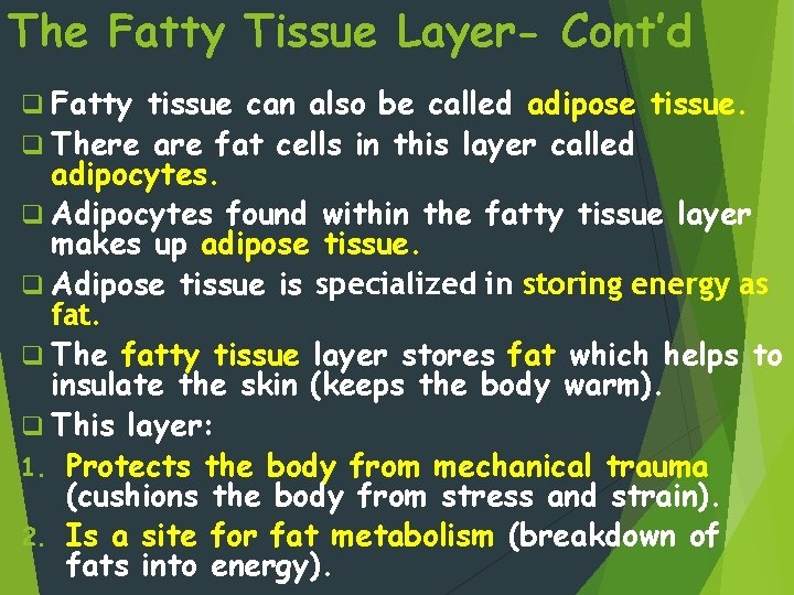Unit Topic The Human Skin Unit Subtopic Layers