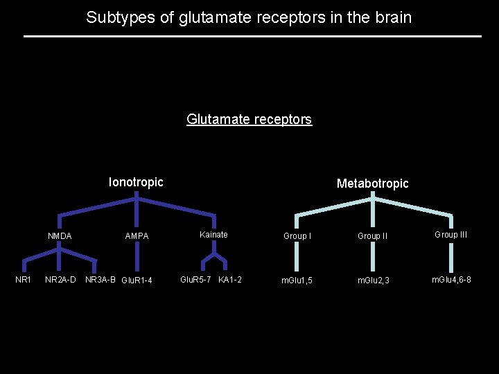 Metabotropic Glutamate 5 Receptors Role in drug selfadministration