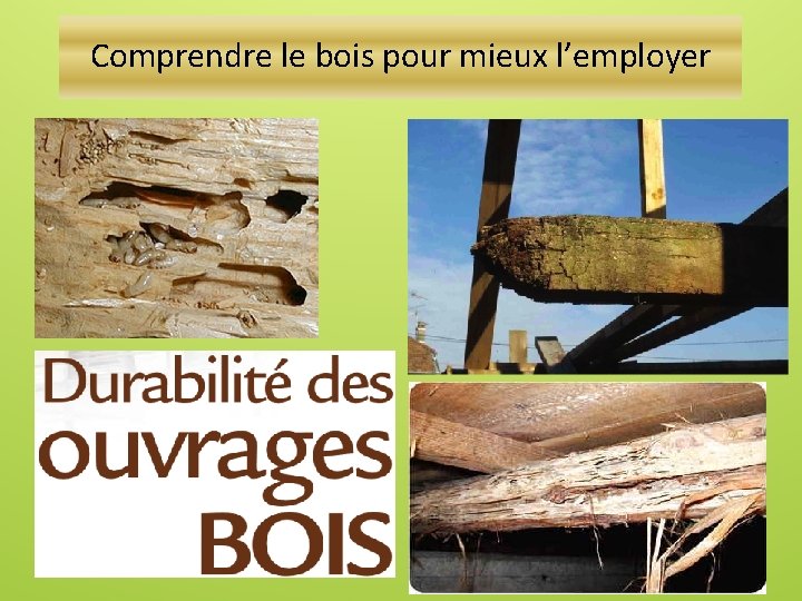 IDENTIFIER LES DIFFRNTES CLASSES DEMPLOI DU BOIS Comprendre