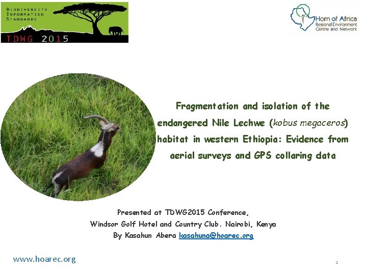 Fragmentation and isolation of the endangered Nile Lechwe