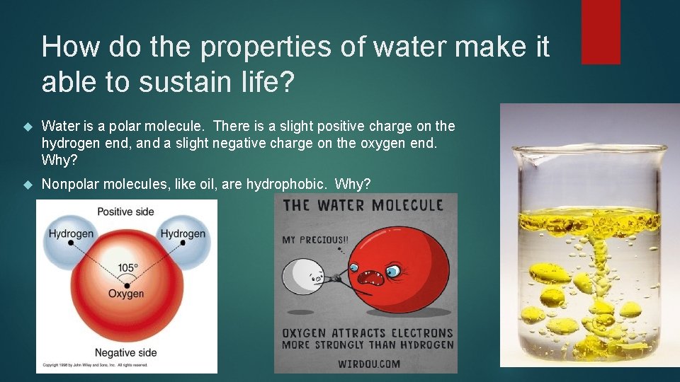 Unit 2 Biochemistry THE CHEMICAL FOUNDATION OF LIFE