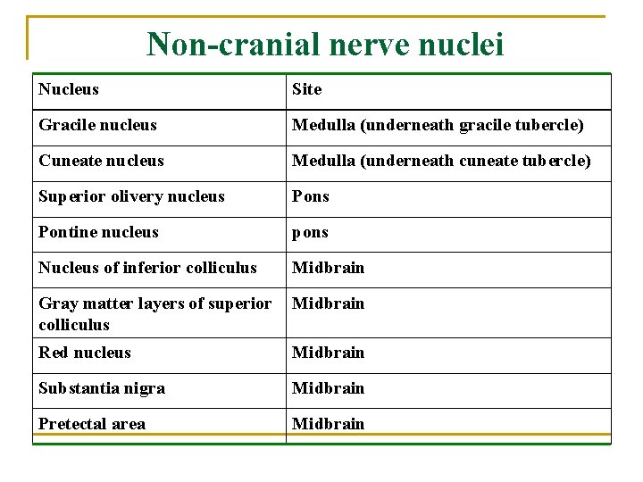 The brainstem The brain n n Telencephalon Diencephalon