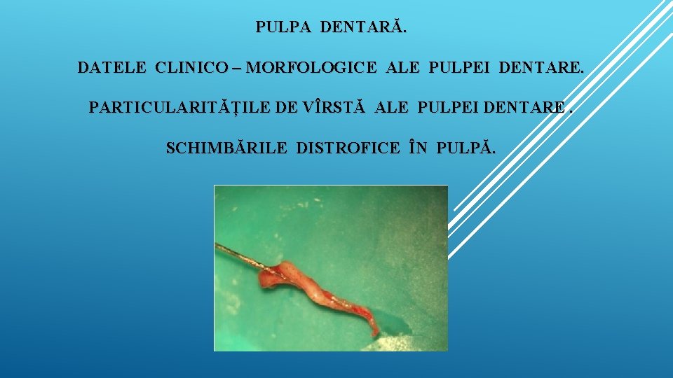 PULPA DENTAR DATELE CLINICO MORFOLOGICE ALE PULPEI DENTARE