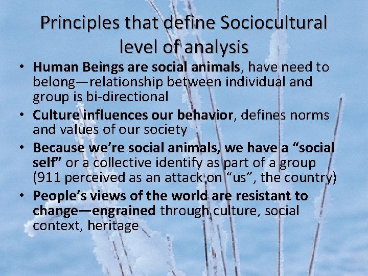 Principles that define Sociocultural level of analysis Human