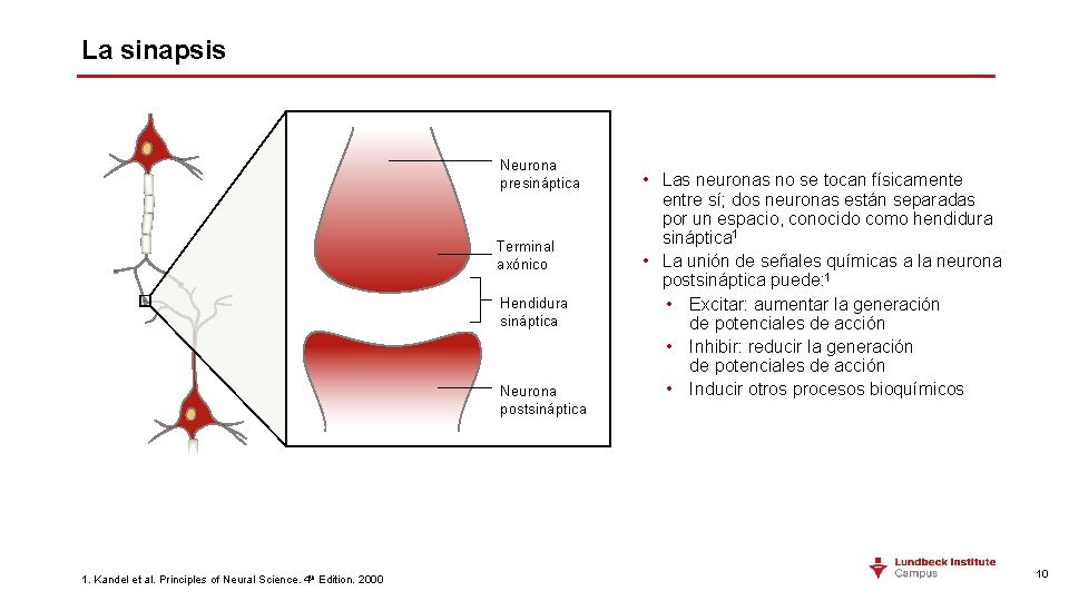 Neurobiologa y etiologa Trastorno depresivo mayor 1 Introduccin
