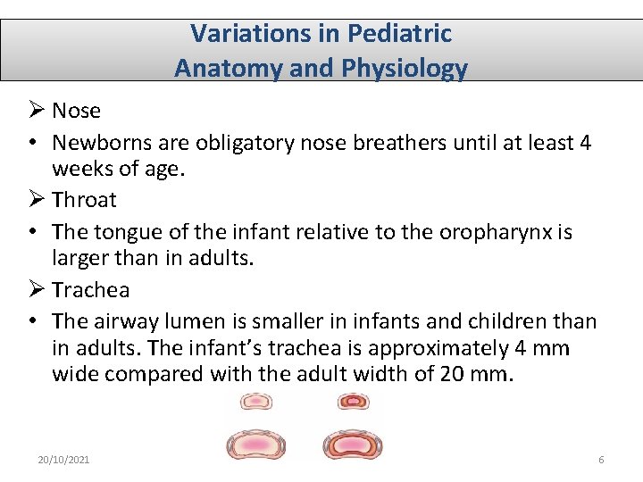 The child with respiratory Disorder Lecture 3 Part
