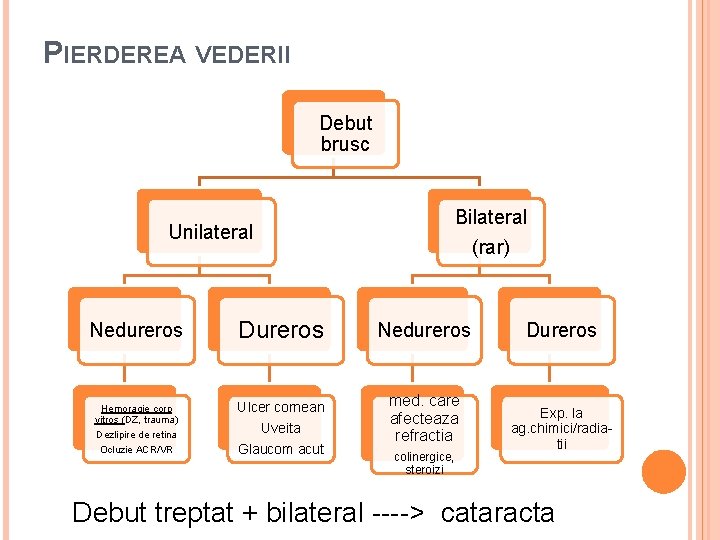 SEMIOLOGIA OCHILOR Dr Cristina Sabo ANAMNEZA Cum stati
