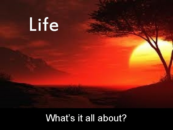 Life Whats it all about Part 42 Treasures