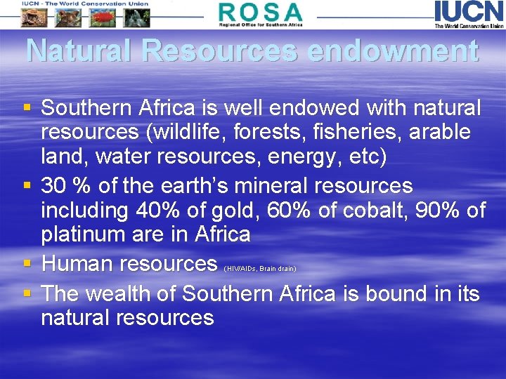 Poverty in the midst of plenty Excellent Hachileka