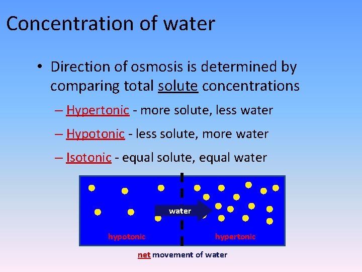 Membrane Transport Passive Transport The movement of materials