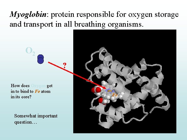 Project Skills Laymans descriptio 3 Functional wormholes in