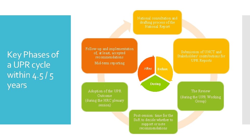 UNIVERSAL PERIODIC REVIEW THE SPECIFIC ROLE OF MEMBERS