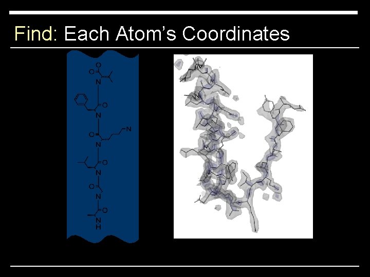 A Probabilistic Approach to Protein Backbone Tracing in