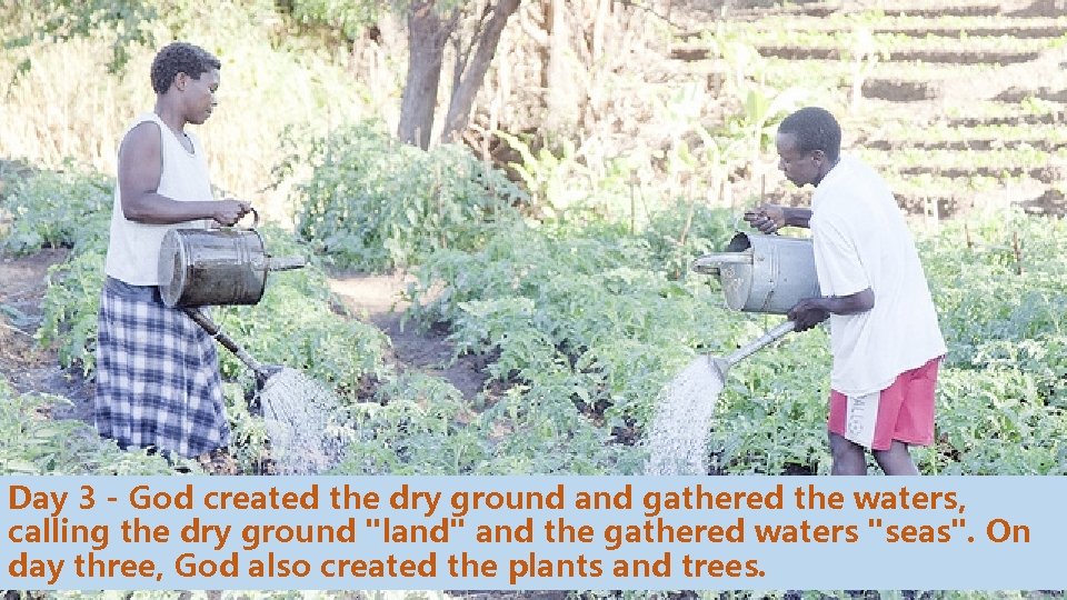 The 7 Days of Creation Illustrated with images