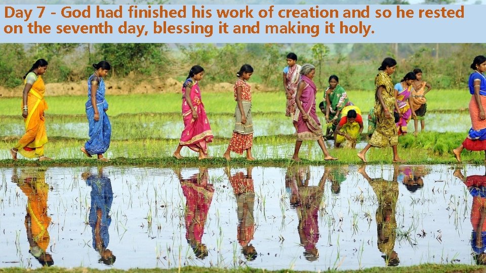 The 7 Days of Creation Illustrated with images