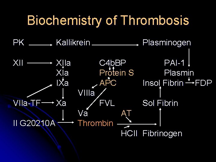 Chapter 34 Vascular Thrombosis Due to Hypercoagulable States